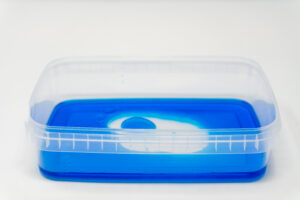 Cleaning Up an Oil Spill: Investigative Lab - Student Handout - Switch ...