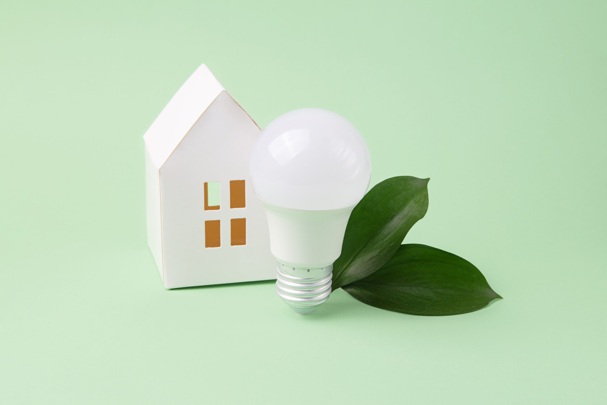 Introduction to Energy Efficiency Bell Ringers | Warm-Ups